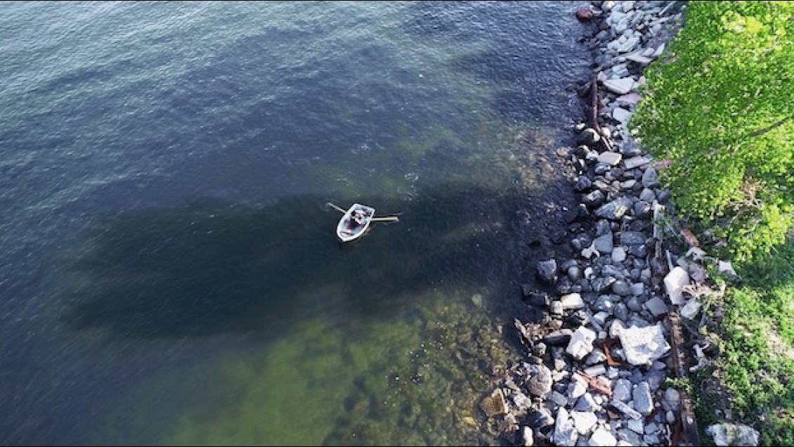 Coco Fusco Has First Major Retrospective in Berlin | cooperedu