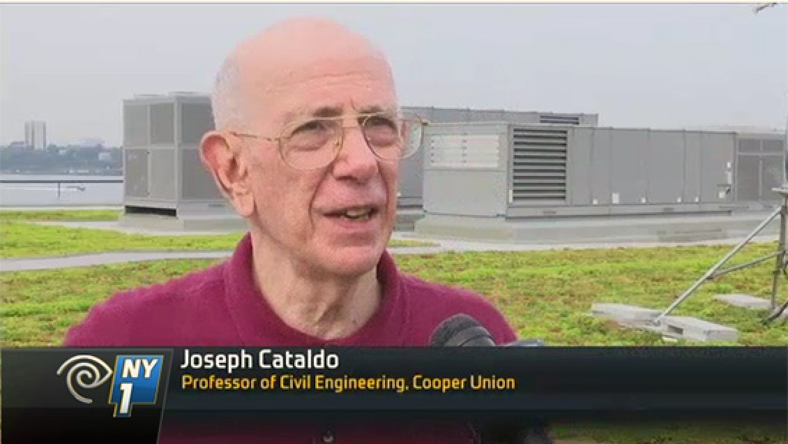 Prof. Cataldo Discusses Green Roof Research on NY1 | cooperedu