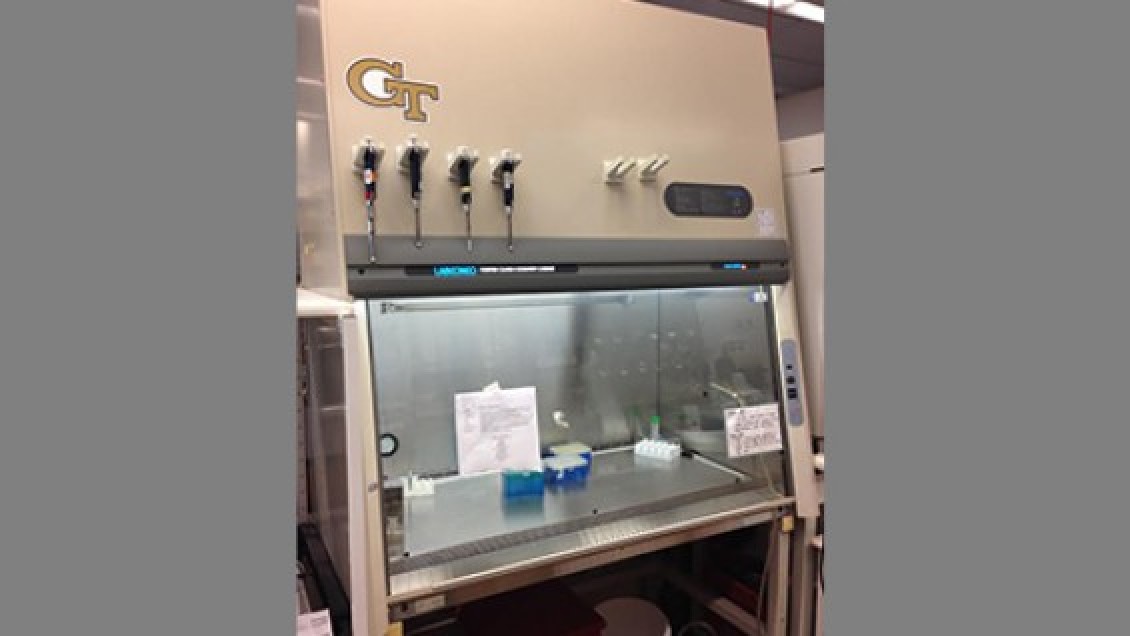 Maurice Kanbar Center for Biomedical Engineering | The Cooper Union