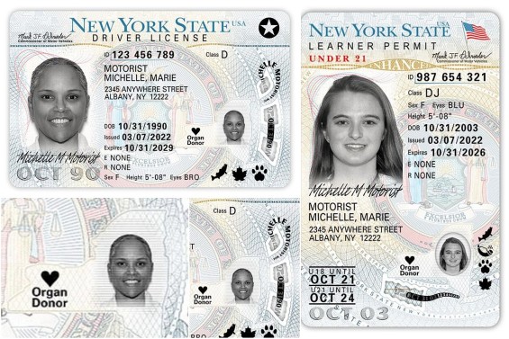 Social Security Number & NYS Identification Cards | cooperedu