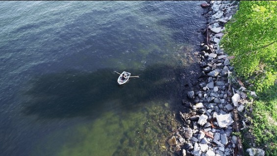 Coco Fusco Has First Major Retrospective in Berlin | cooperedu