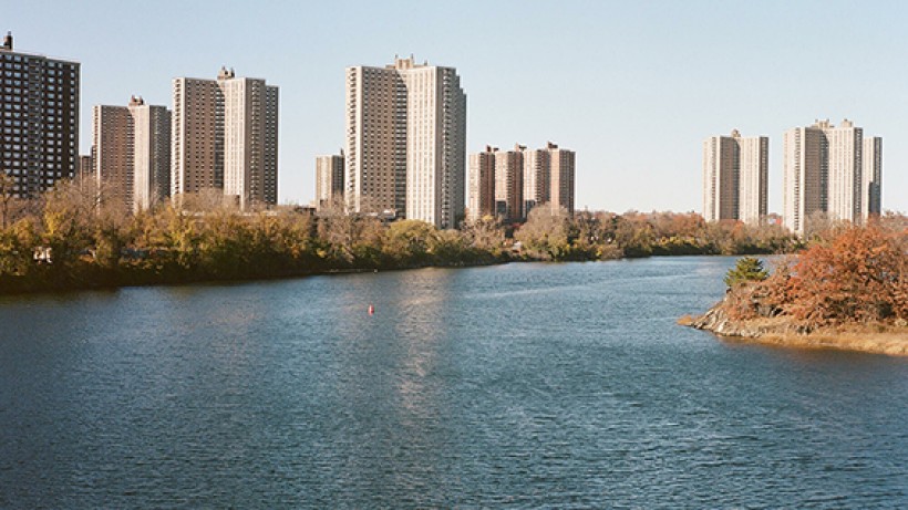 Exhibition Lecture | Zara Pfeifer & Daniel Jonas Roche: The Social Life ...